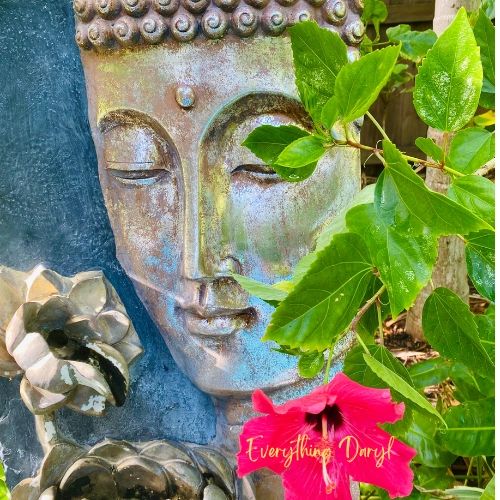 Lifestyle & Movement Coaching - Everything Daryl